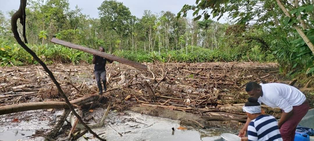Taponamiento en ríos del Chocó incomunican al Carmen del Darién