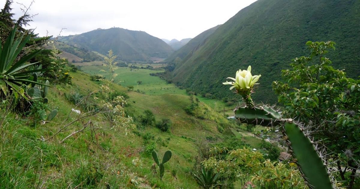 Se declaran como áreas de reserva ecológica más de 1.4 millones de ...